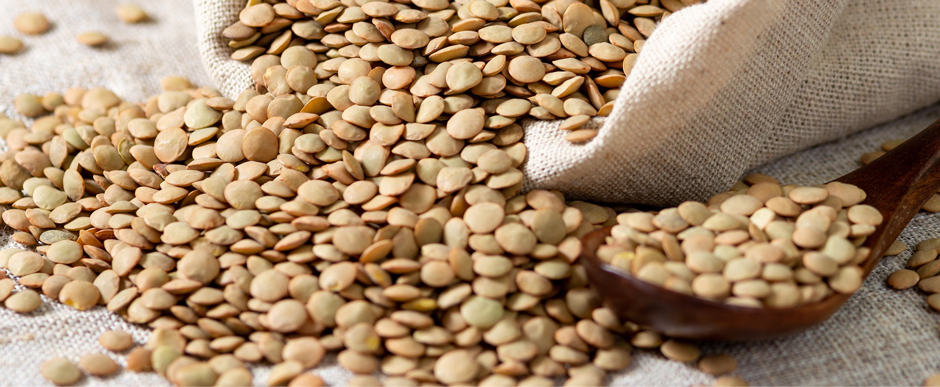 Quais tipos de lentilhas são os mais saborosos e saudáveis? - Blog ...